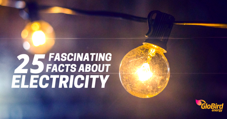 25 Fun Facts About Electricity | Globird Energy