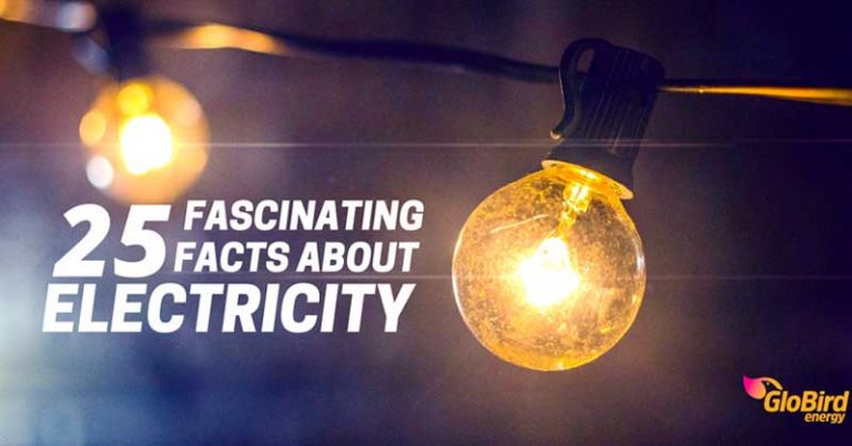 25 Interesting Facts About Light Energy | GloBird Energy