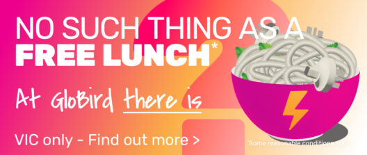 Australia Cheap Electricity & Gas Provider | GloBird Energy