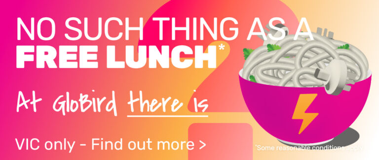 Australia Cheap Electricity & Gas Provider | GloBird Energy